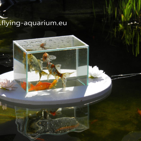 FlyingAquarium - Etsy