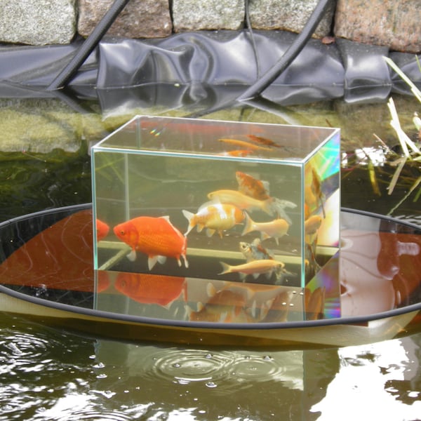 FlyingAquarium - Etsy