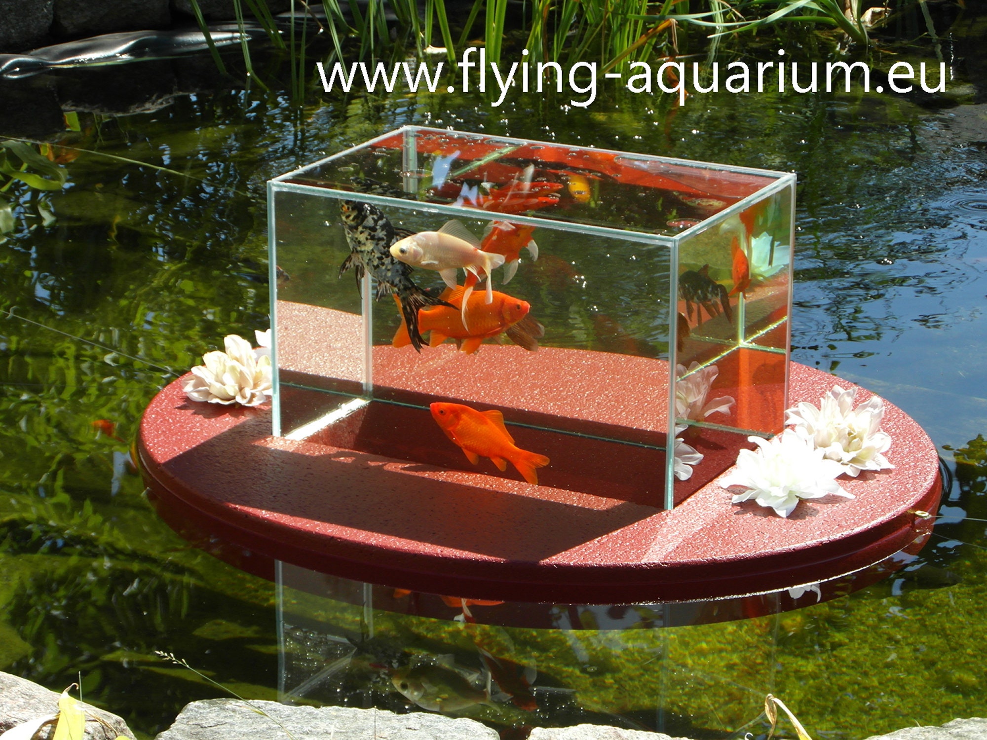 Flying-aquarium-oval© basic 2500 Red the Floating Pond Aquarium Made in ...