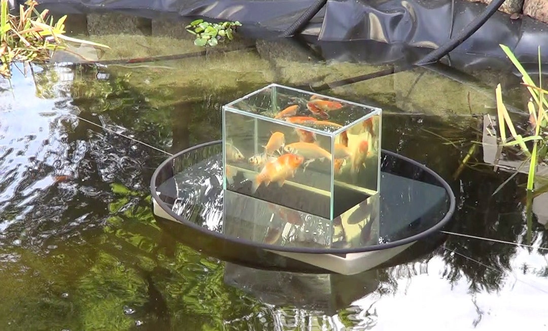 Flying-aquarium-oval© "hover" 1200 Gray Fish Observatory Observation ...