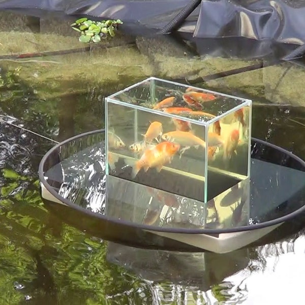 FlyingAquarium - Etsy