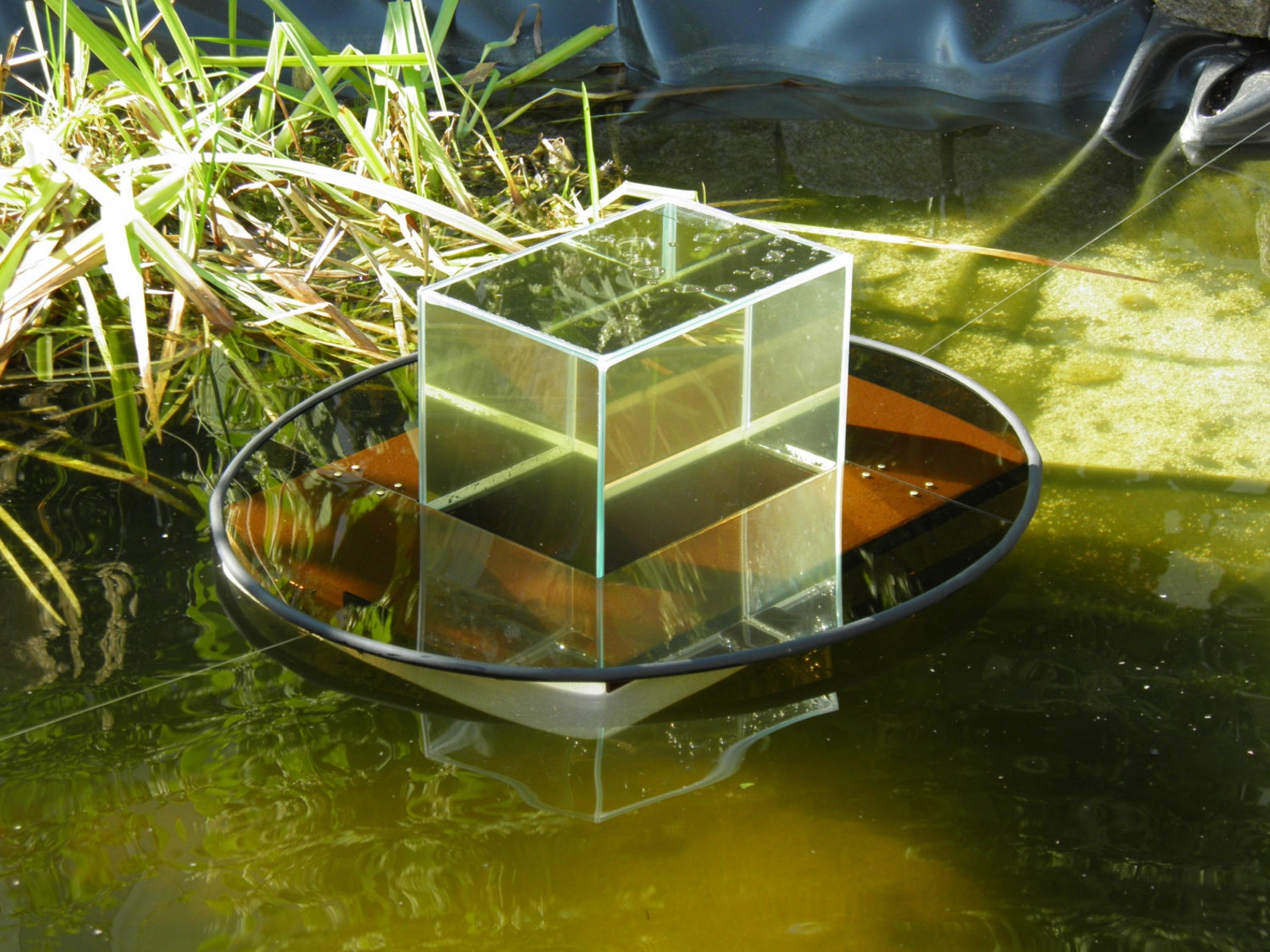 Flying-aquarium-oval© "hover" 1200 Umbra Fish Observatory Observation ...