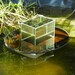 Flying-aquarium-oval© "hover" 1200 Umbra Fish Observatory Observation ...