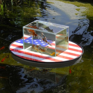Flying-aquarium-oval© "elegance" 1200 US Flag Fish Observatory ...