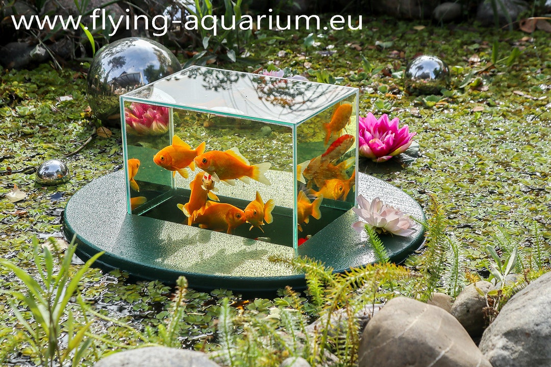 Flying-aquarium-oval© "basic" 1200 Green the Floating Pond Aquarium ...