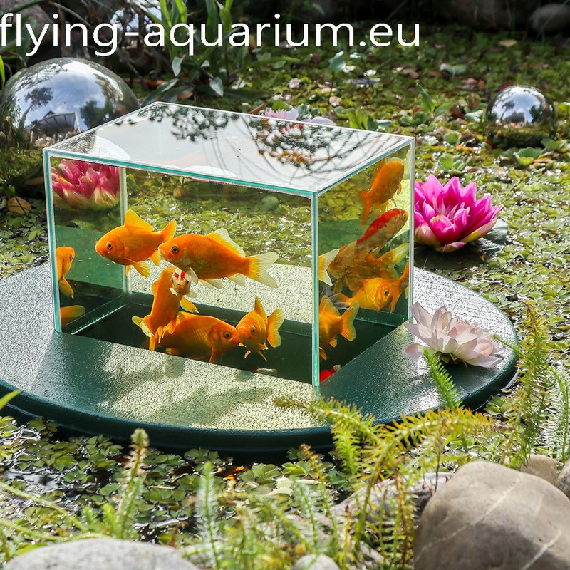 FlyingAquarium - Etsy