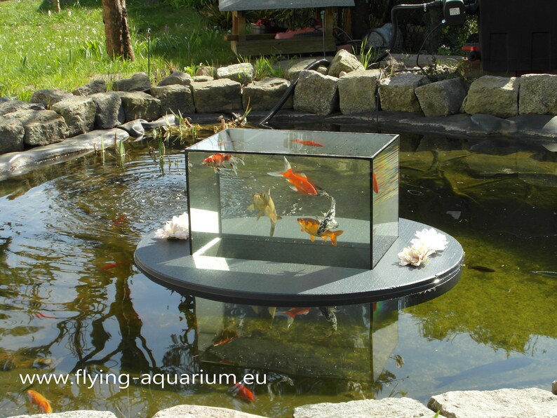 Flying-aquarium-oval© basic 4500 Gray the Floating Pond Aquarium Made ...