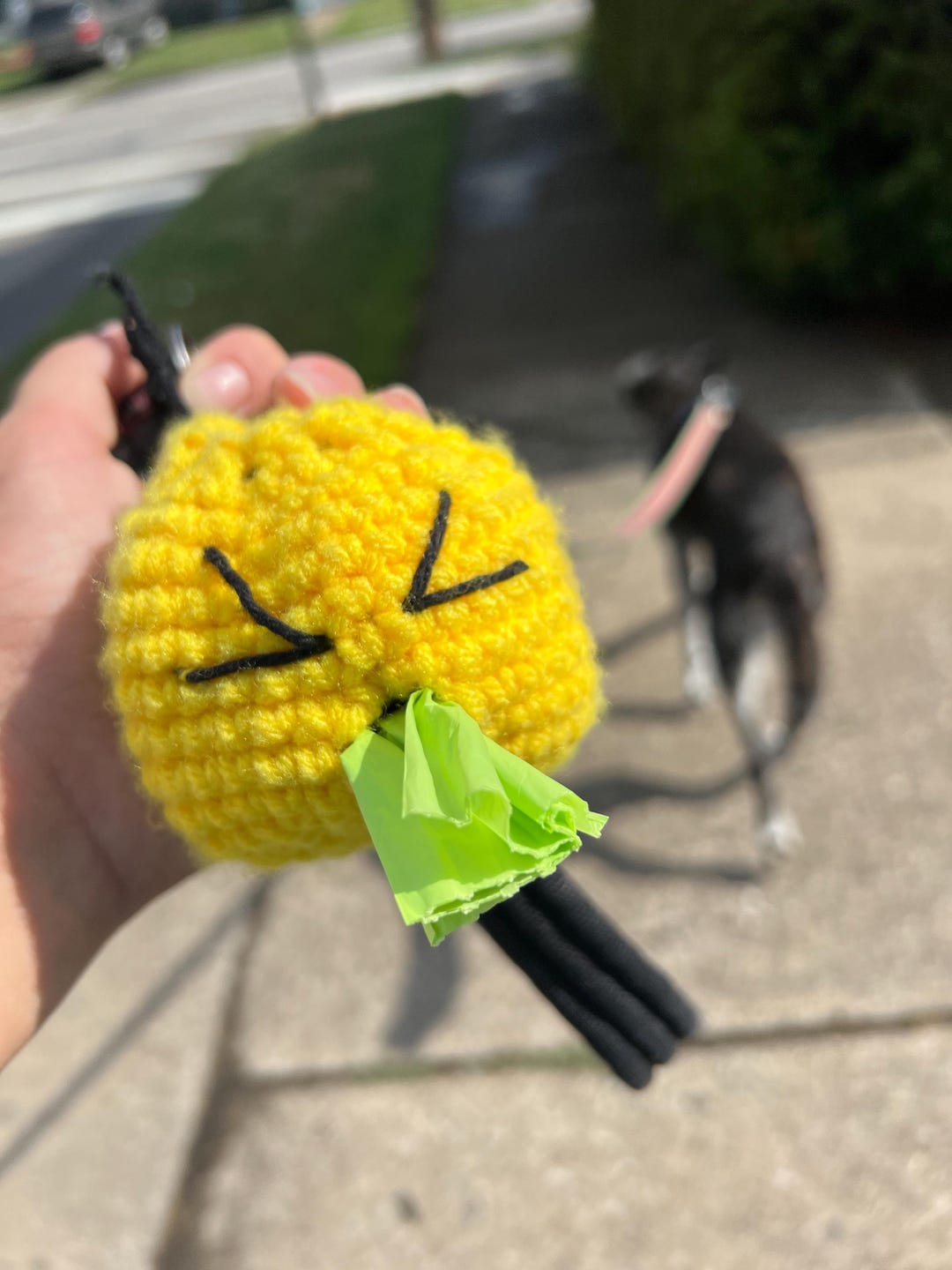 Dog Poop Bag Holder Vommyface Design - Crochet Handmade - Etsy