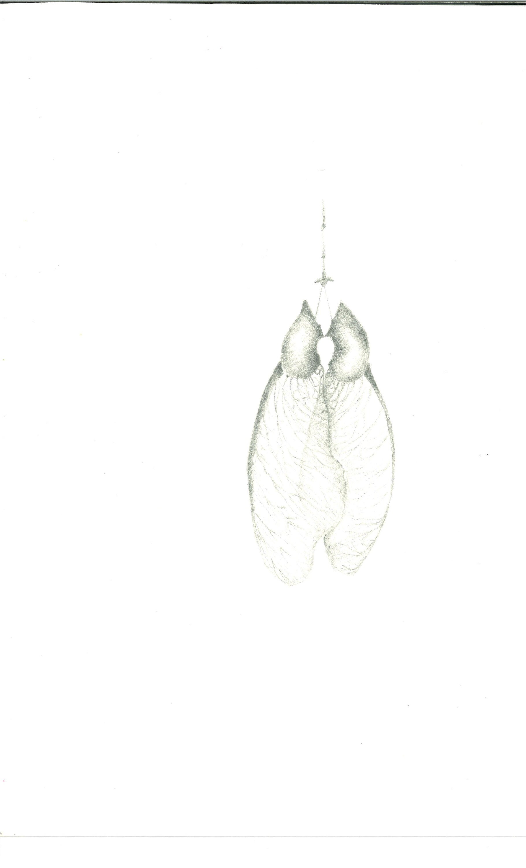 Angel Wing Maple Spinner - Etsy