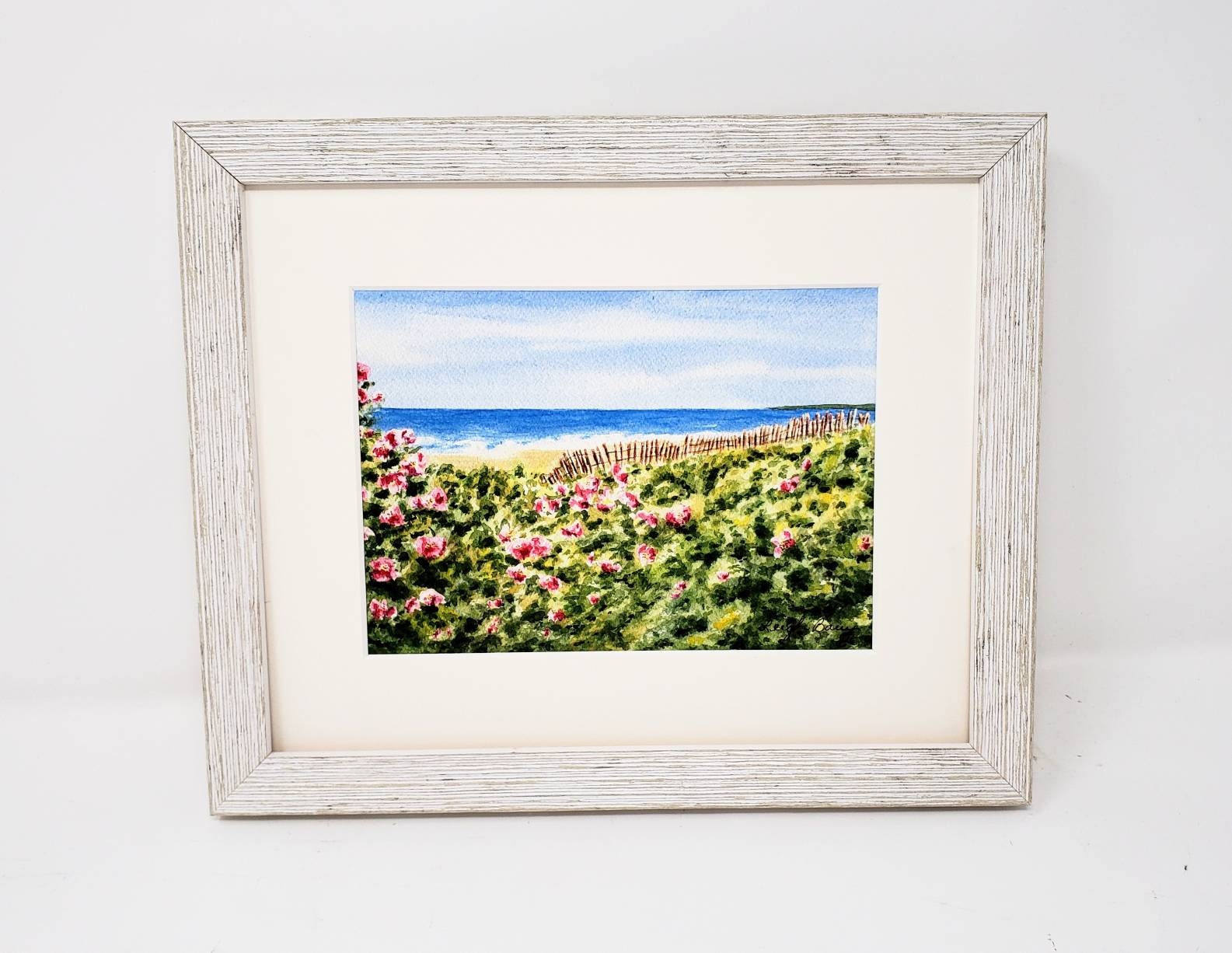 Beach Roses Watercolor Painting Prints, Seaside Roses Print, Framed ...