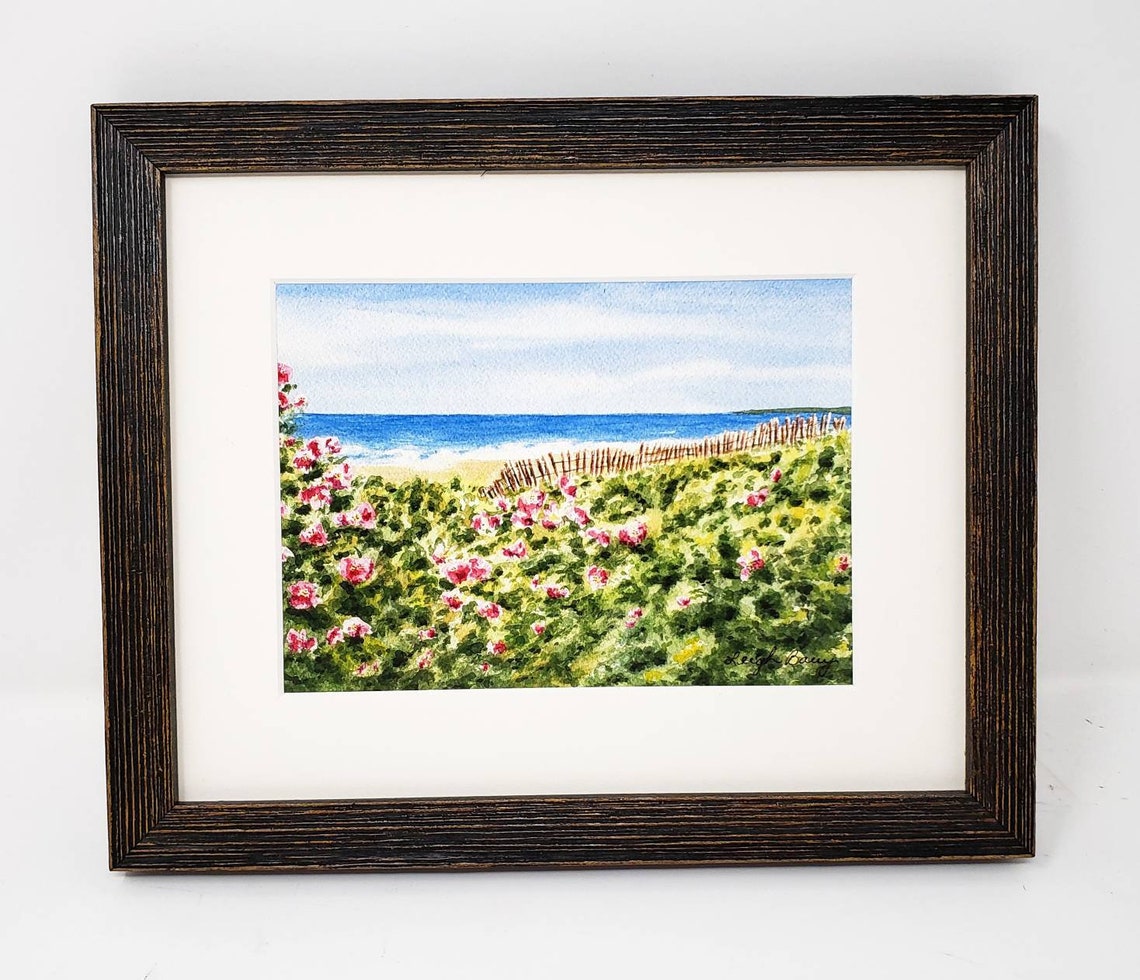 Beach Roses Watercolor Painting Prints, Seaside Roses Print, Framed ...