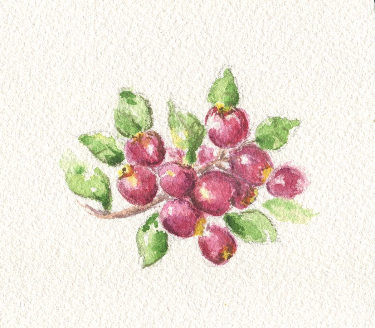 Cranberries Painting, Cranberry Art Framed, Fruit Painting, Red Kitchen ...