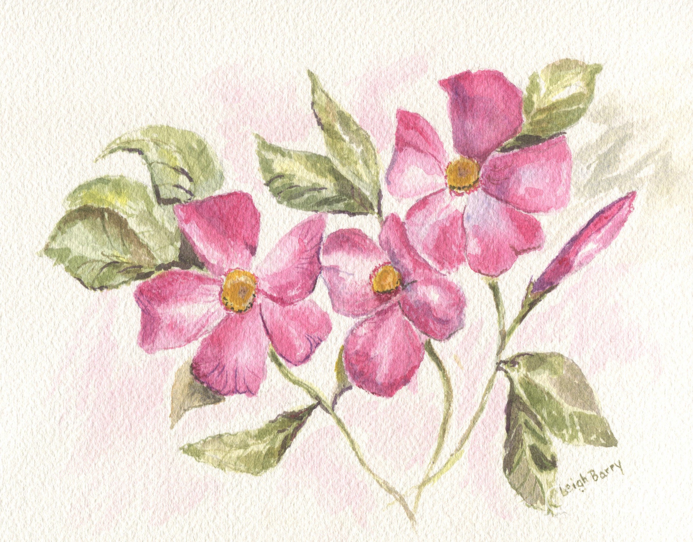 Beach Rose: Watercolor Roses Print Flower Painting Watercolor | Etsy