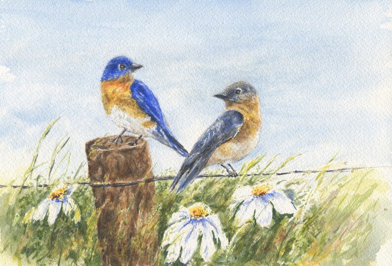 Bluebirds Original Painting: Bluebird Painting Bird Watercolor, Wall ...