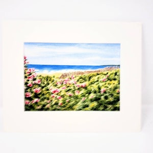Beach Roses Watercolor Painting Prints, Seaside Roses Print, Framed ...