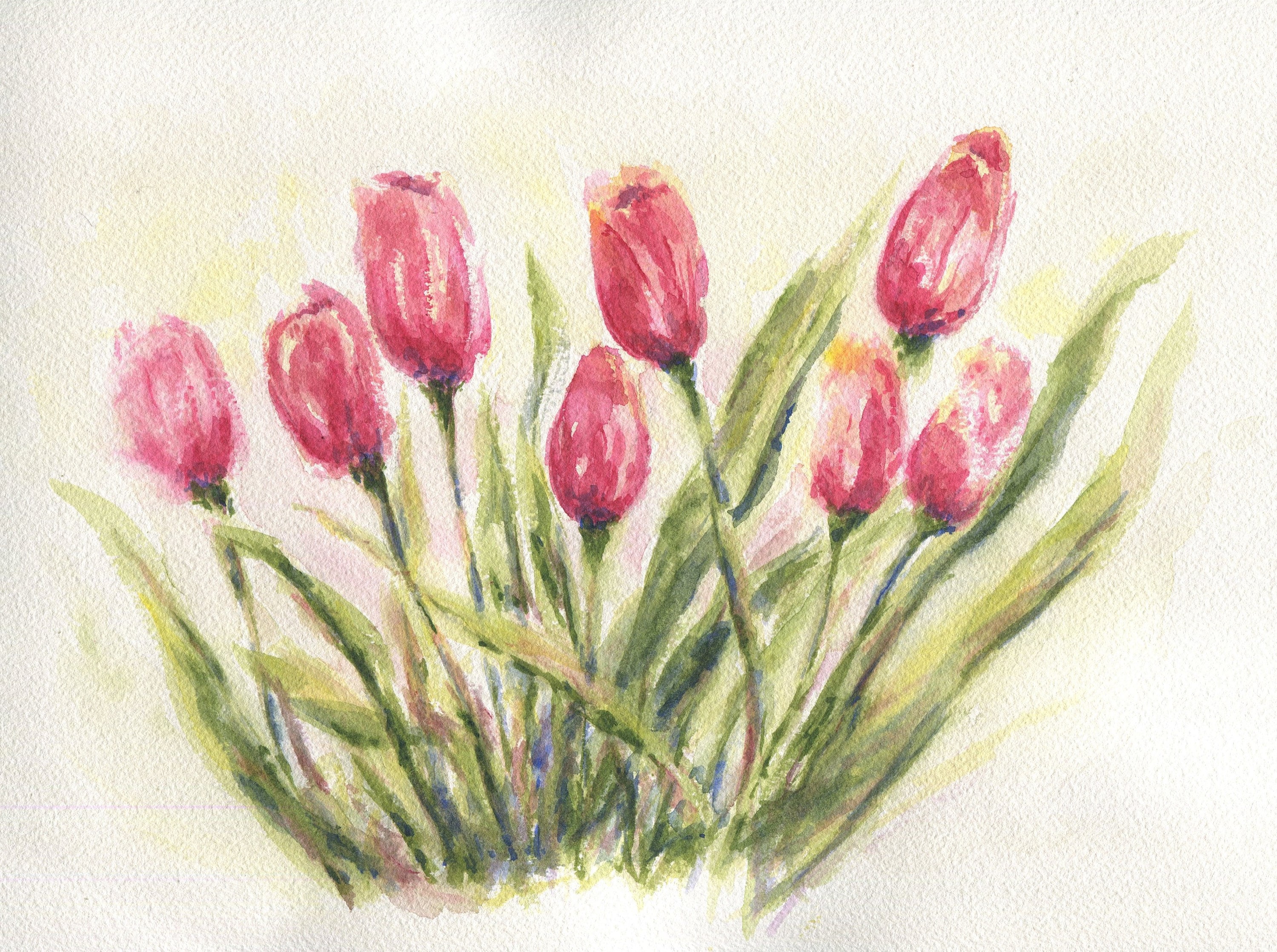Tulips: Spring Flowers Tulip Watercolor Pink Flower Painting Print ...