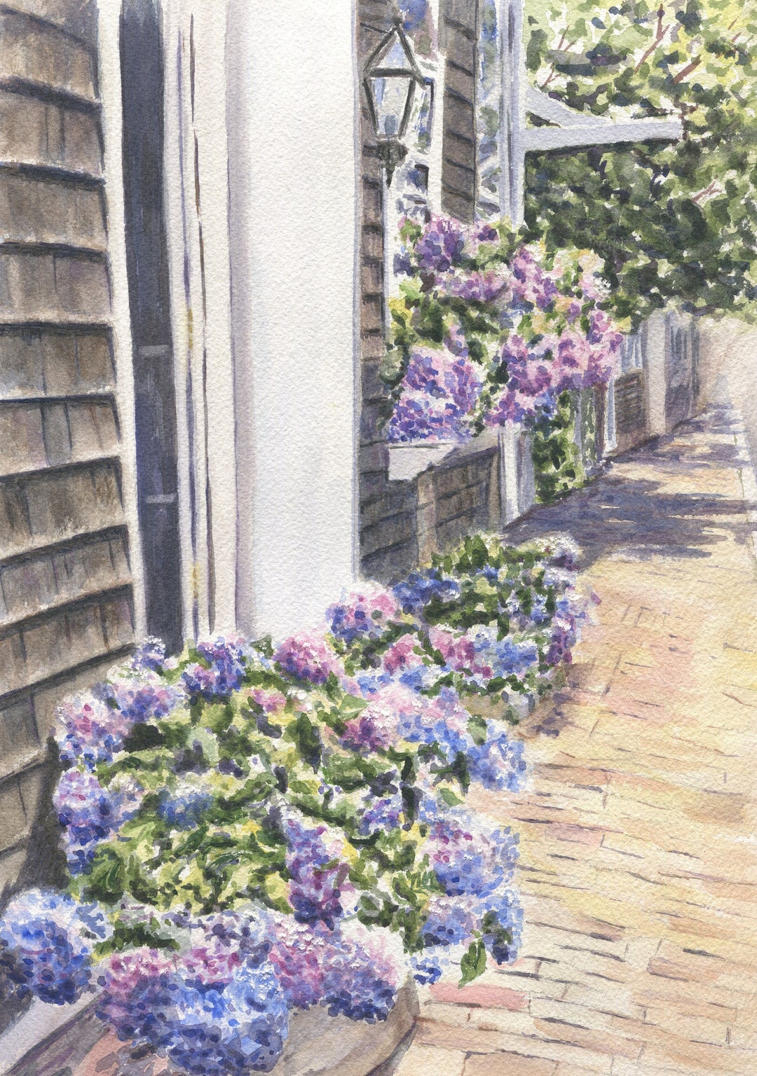 Nantucket Hydrangeas Watercolor Painting Giclee Print, Nantucket ...