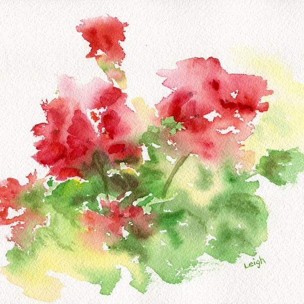 Watercolor Painting of Geraniums - Etsy