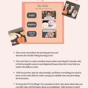 Needle Felting Tutorial-beginners Course Includes:videos/pdfs/patterns ...