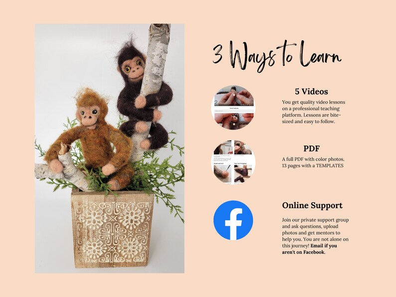 Needle Felting Tutorial/monkey-primate Course:videospdf, You CAN Felt ...