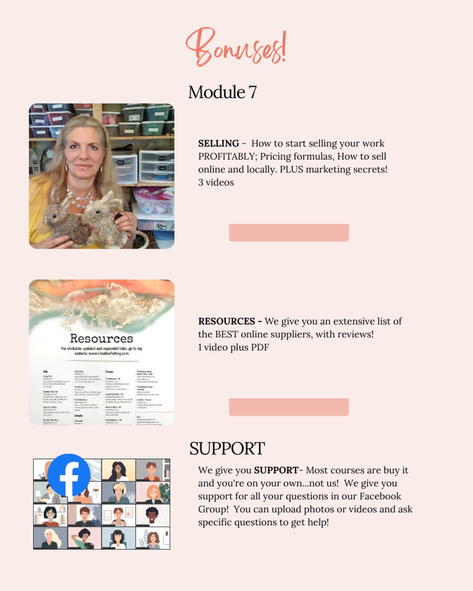 Needle Felting Tutorial-beginners Course Includes:videos/pdfs/patterns ...