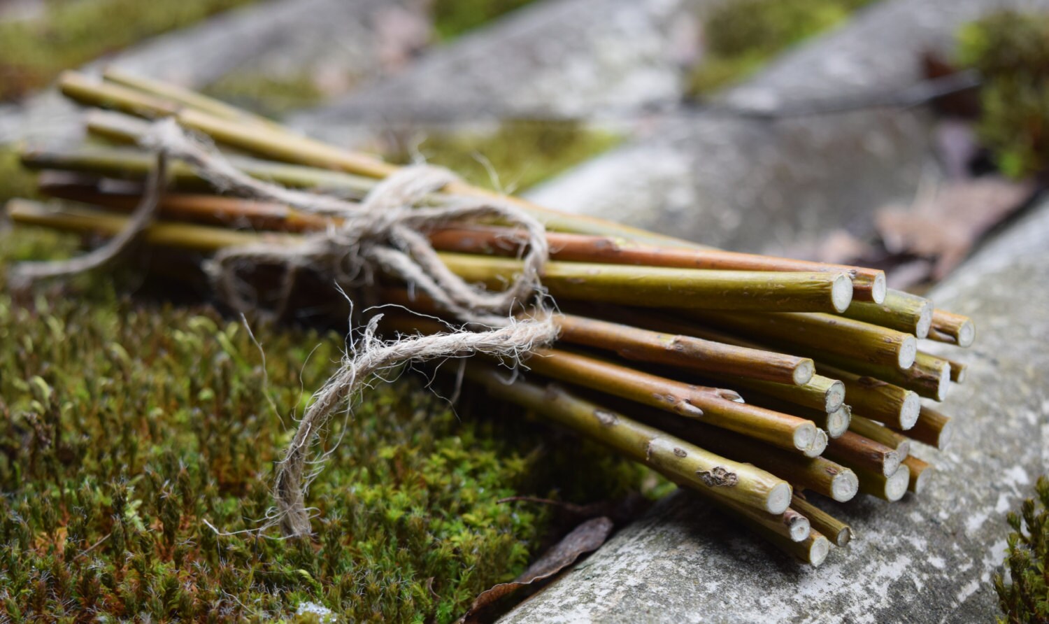 Willow Sticks, 25 Craft Twigs, Willow Bundle, Natural Decor, Craft ...
