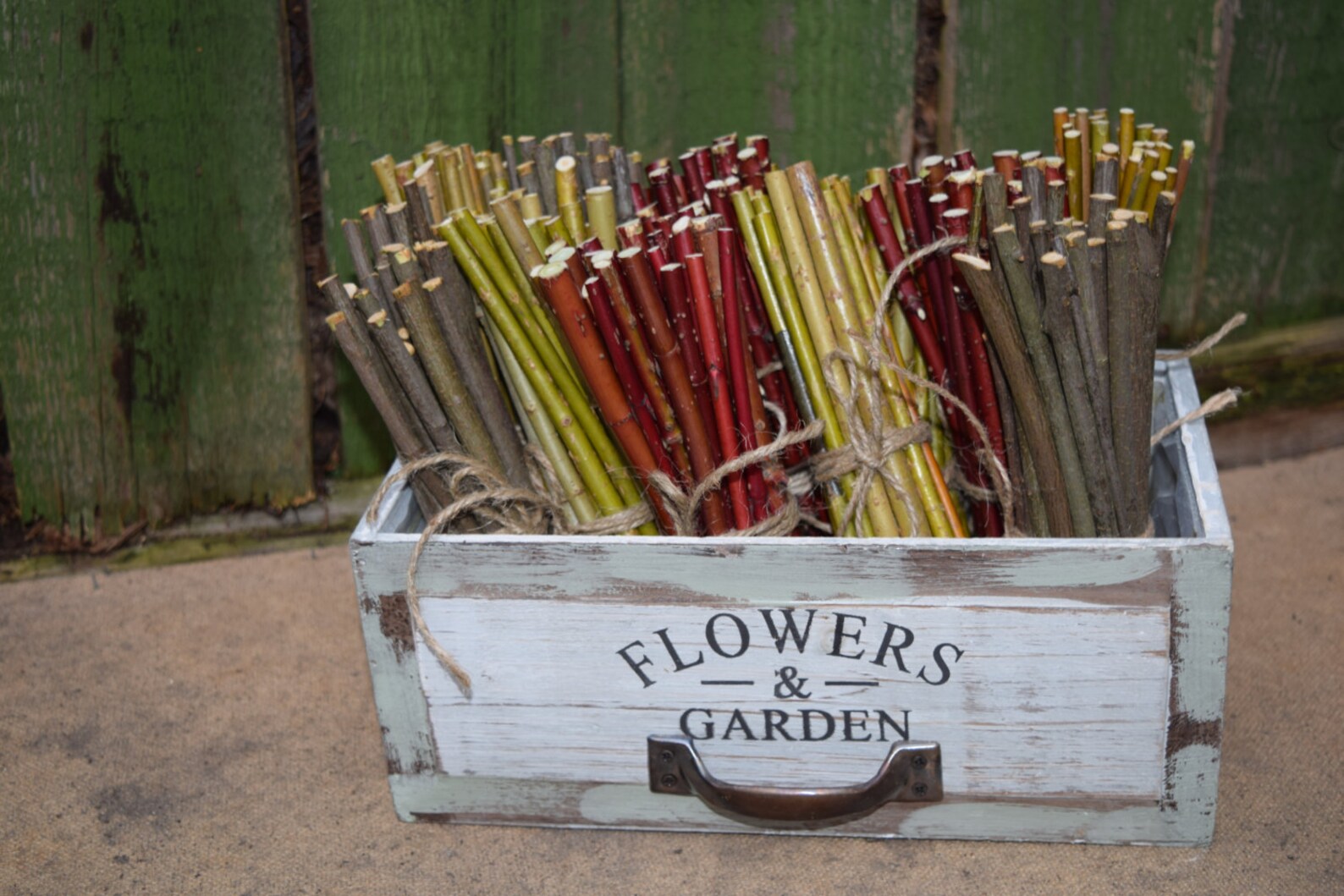 25 Red Barked Dogwood Stiks ,cornus Sanguinea, Straight Dogwood Sticks ...