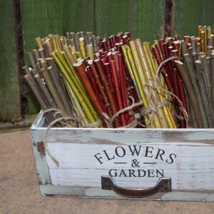 25 Red Barked Dogwood Stiks ,cornus Sanguinea, Straight Dogwood Sticks ...