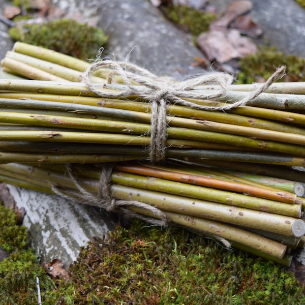 Twig Bundle - Etsy