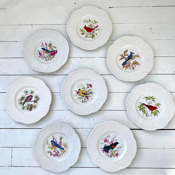 Bird Plates - Etsy