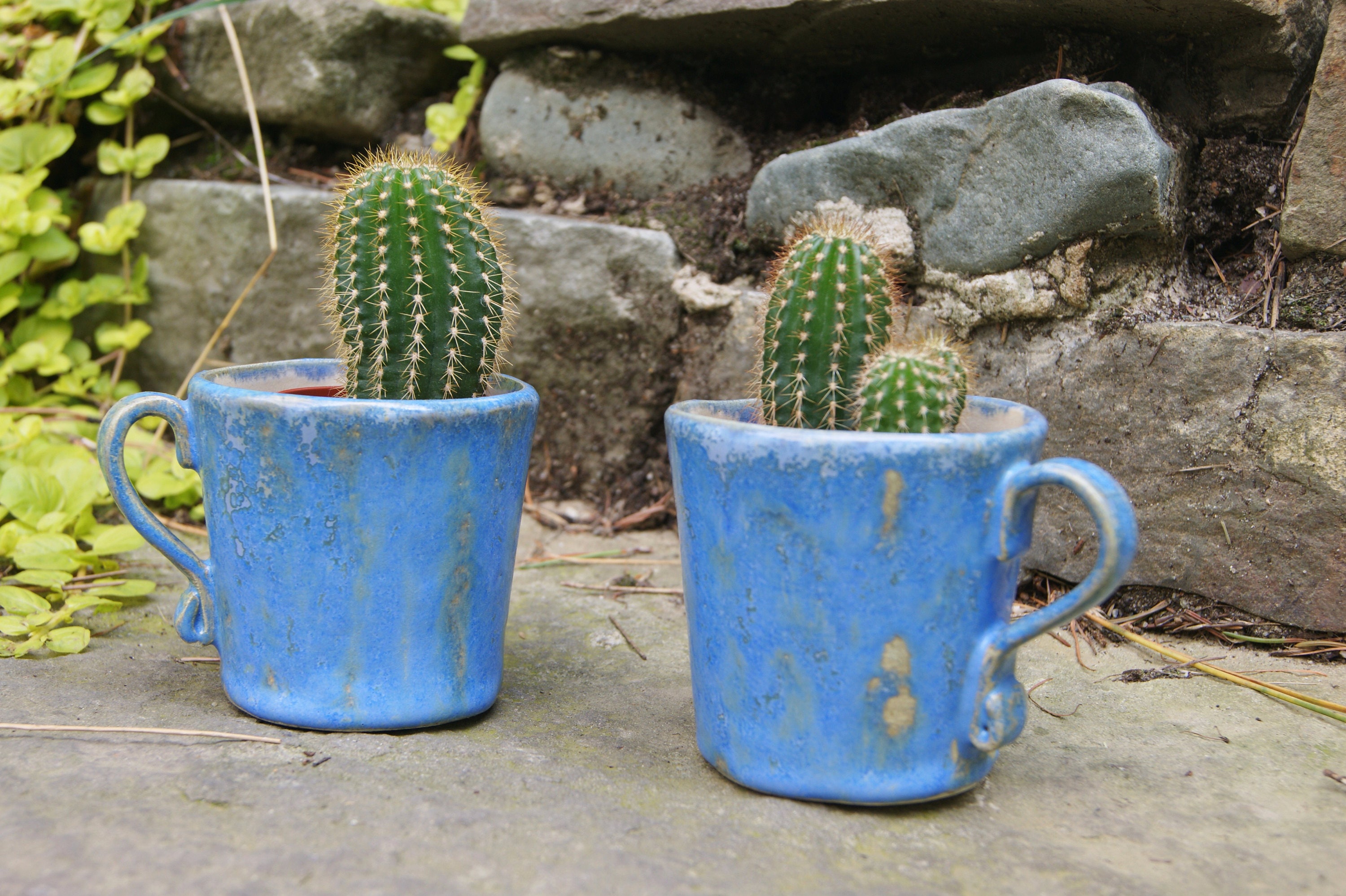 Ceramic Turquoise Pot Cactus, Pot Cover, Hand Made Ceramic Pot, Mini ...