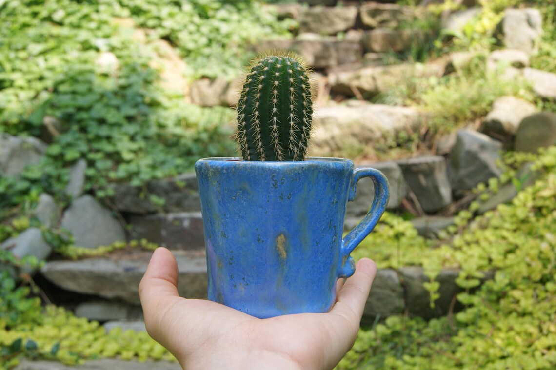 Ceramic Turquoise Pot Cactus Pot Cover Hand Made Ceramic | Etsy