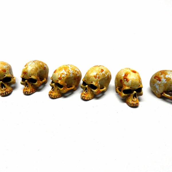 1 6 Scale Molds - Etsy