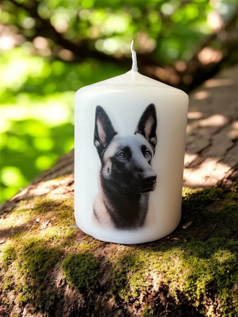 Belgian Malinois Dog Candle, Unscented Home Decor - Etsy