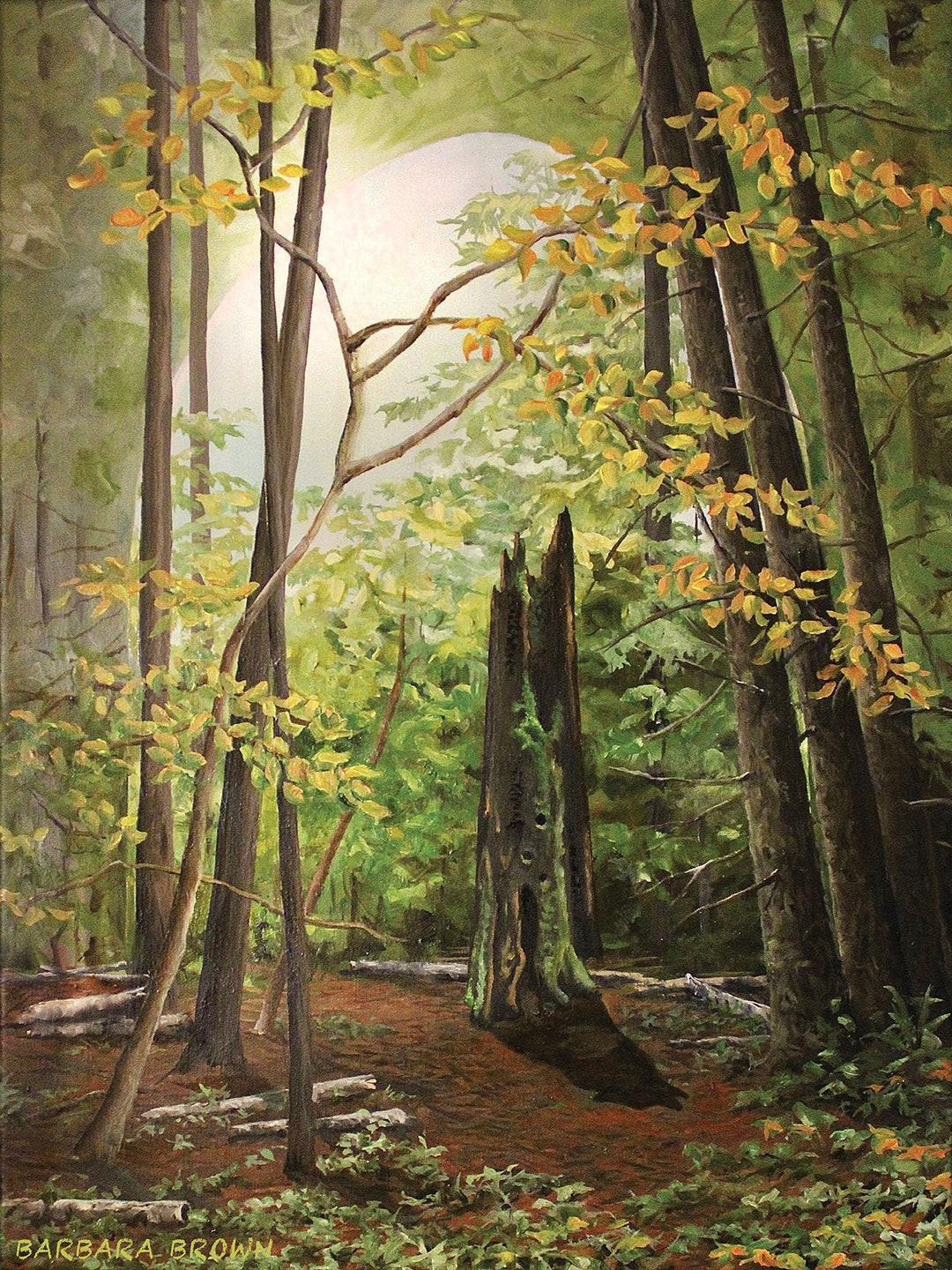 Grandfather Stump | Print of Original Oil Painting | Archival Quality ...