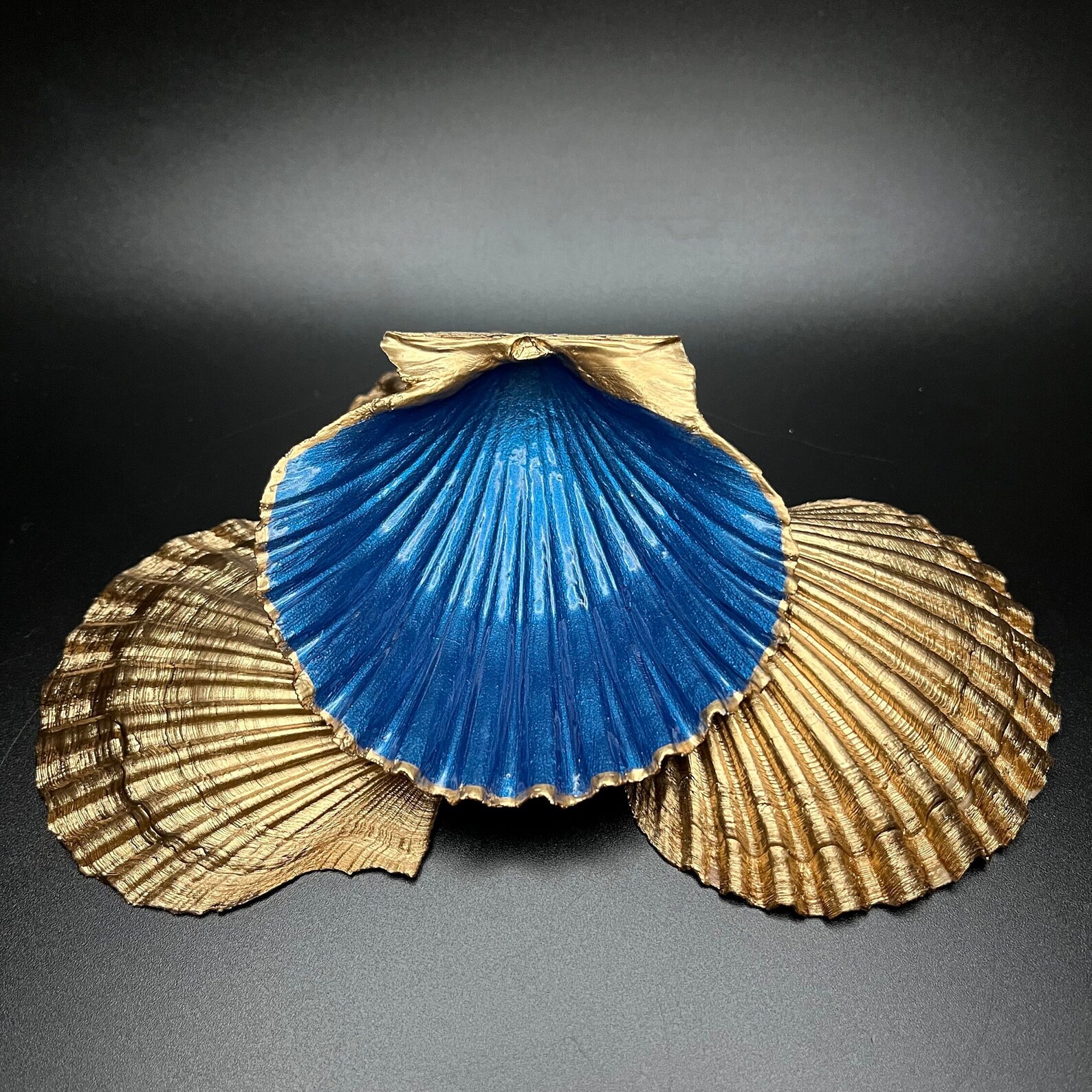 Pearl Scallop Shell Trinket Dish, Gold Leaf Coastal Decor - Etsy