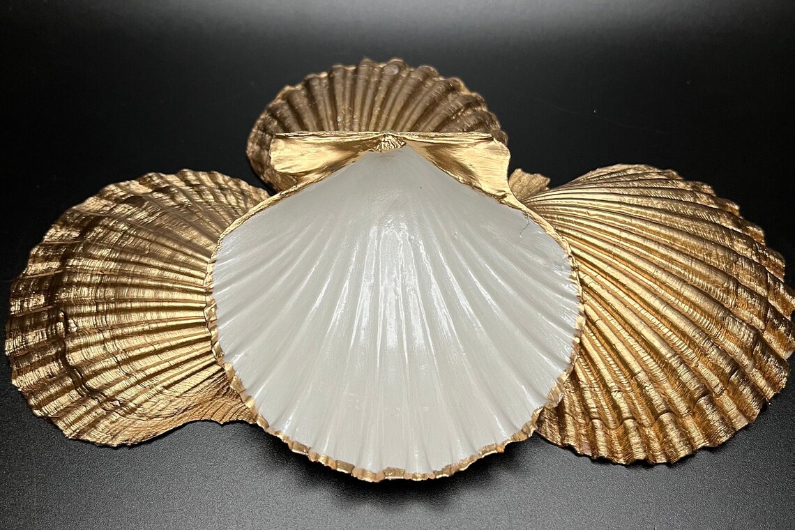 Pearl Scallop Shell Trinket Dish, Gold Leaf Coastal Decor - Etsy
