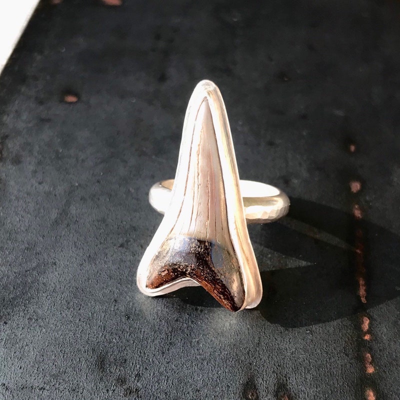 Tooth Ring - Etsy