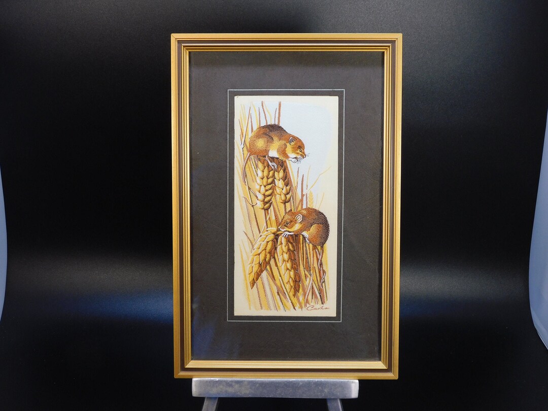 Framed Harvest Mouse Silk Embroidery: J J Cash Ltd Coventry - Etsy UK