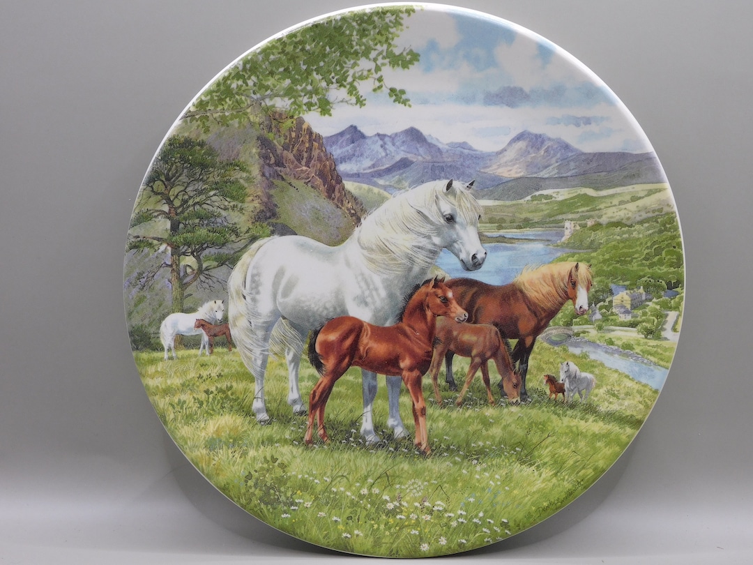 Davenport Welsh Mountain Ponies From Britains Wild Ponies Collection by ...