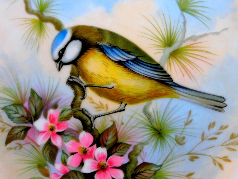 Royal Albert Blue Titmouse Plate: 1982 Woodland Birds Collector's Plate ...