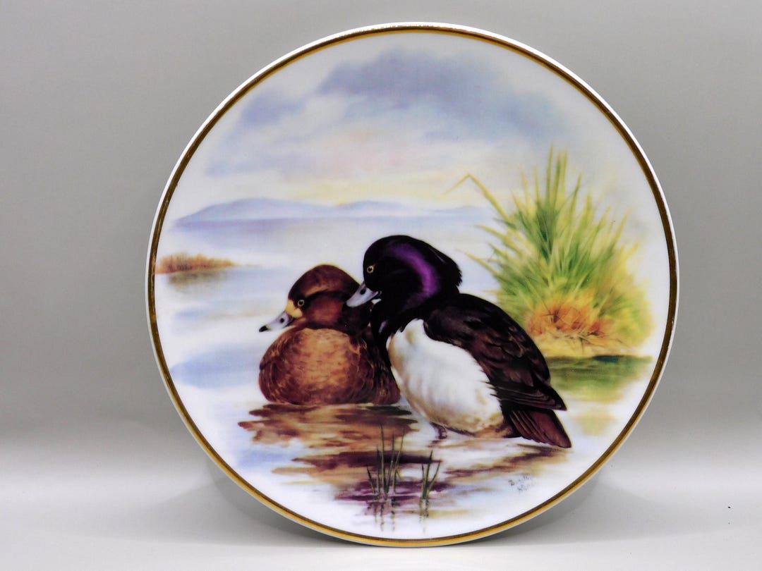 Duck Collectors Wall Hanging Plate, - Etsy