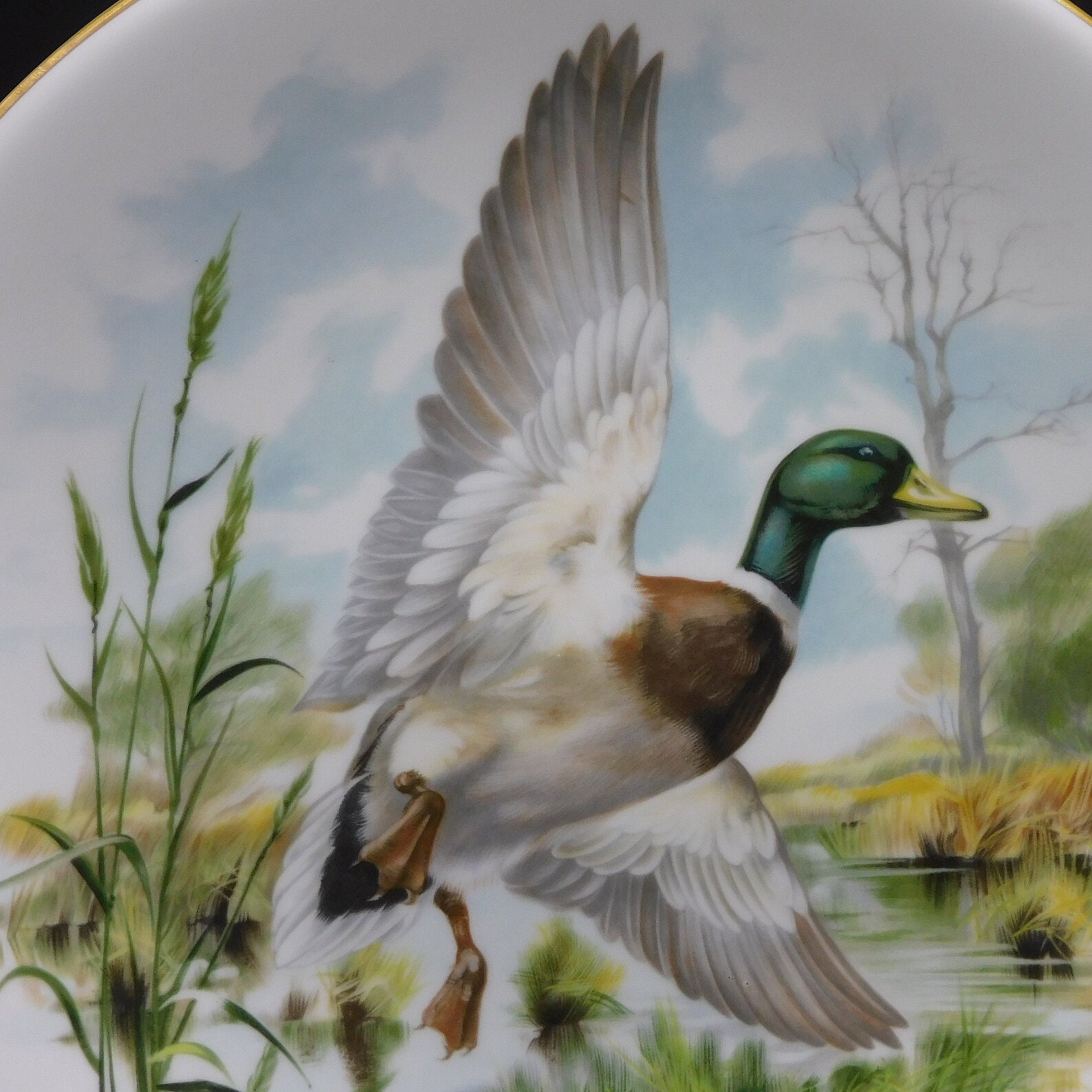 Royal Worcester Mallard Duck Dinner Plate: Gold Trim, 9 1/4 In - Etsy