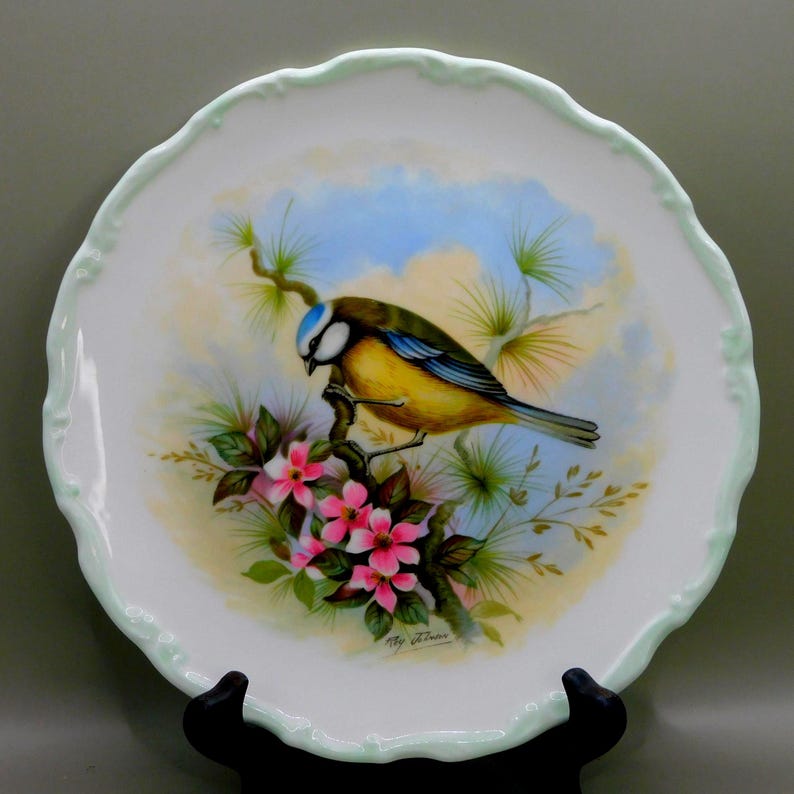 Royal Albert Blue Titmouse Plate: 1982 Woodland Birds Collector's Plate ...