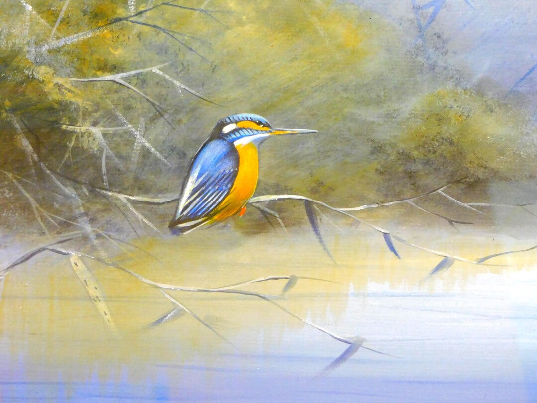 Original Watercolour " Kingfisher " , Signed by Artist Stephen Allen ...