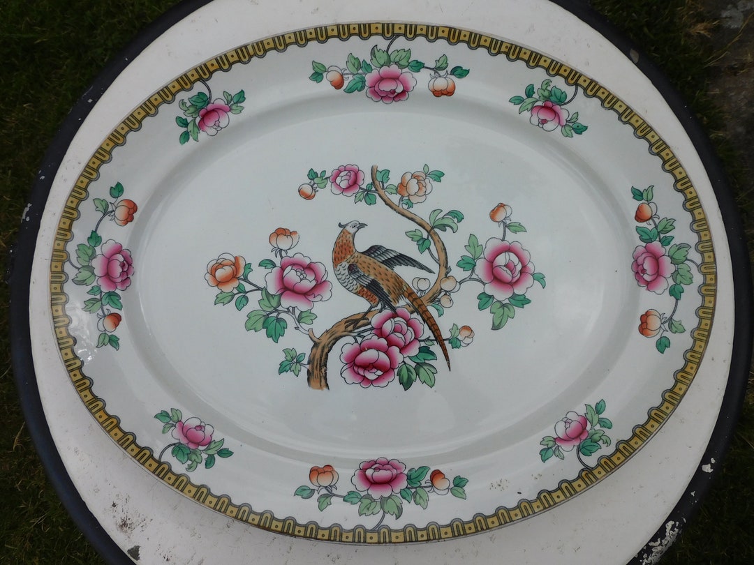 Antique English F Winkle & Co, Whieldon Ware, Pheasant, Ironstone ...