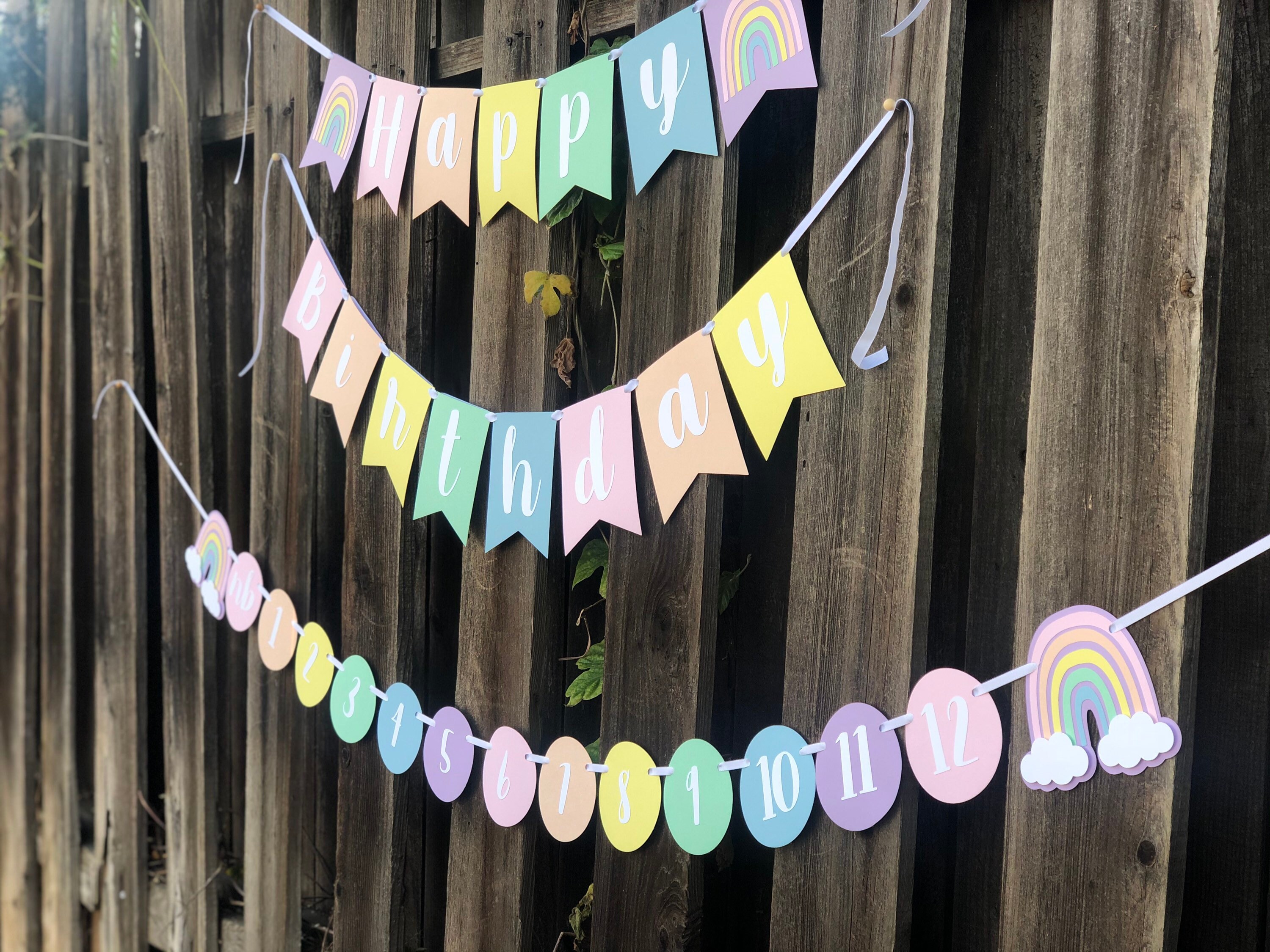 First Birthday Photo Banner Monthly Photo Banner Milestone | Etsy