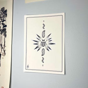 Beetle Lifecycle Original Art Print With Silver Hand Painted Details - Etsy