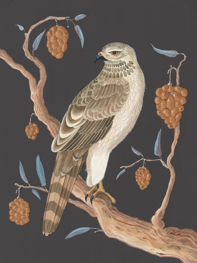 Hawk on Wood, Chinoiserie Cooper's Hawk Bird Art Print - Etsy