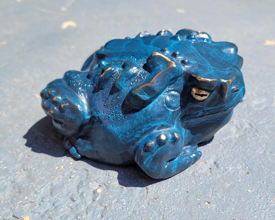 Bronze Garden Toad: Ocean Toad Edition 5/50 - Etsy